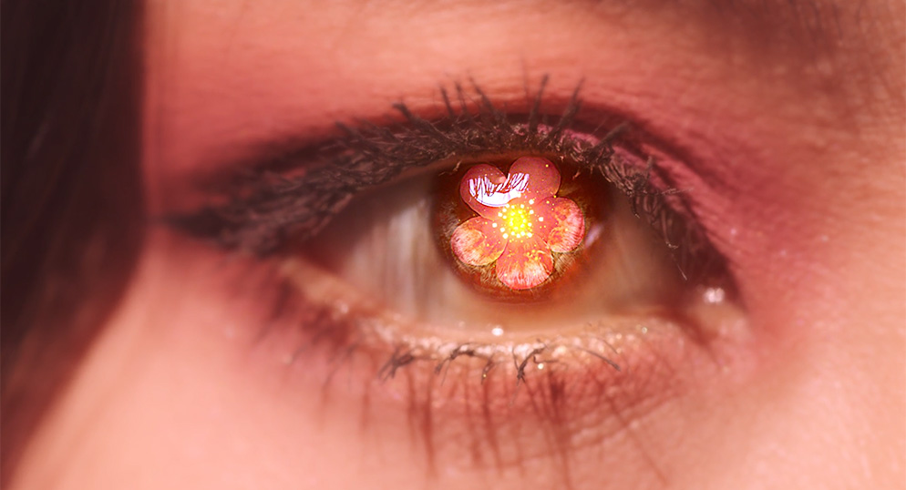 Main Studio - Bone Ho